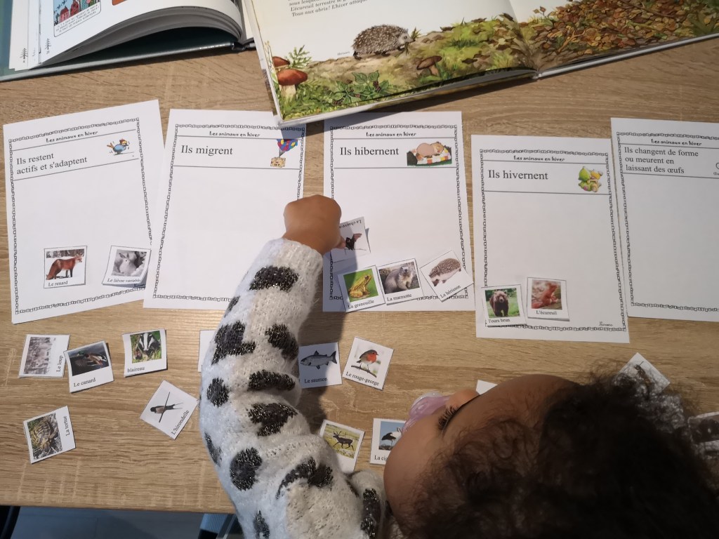 Les animaux en hiver – Ma vie trépidante de maman