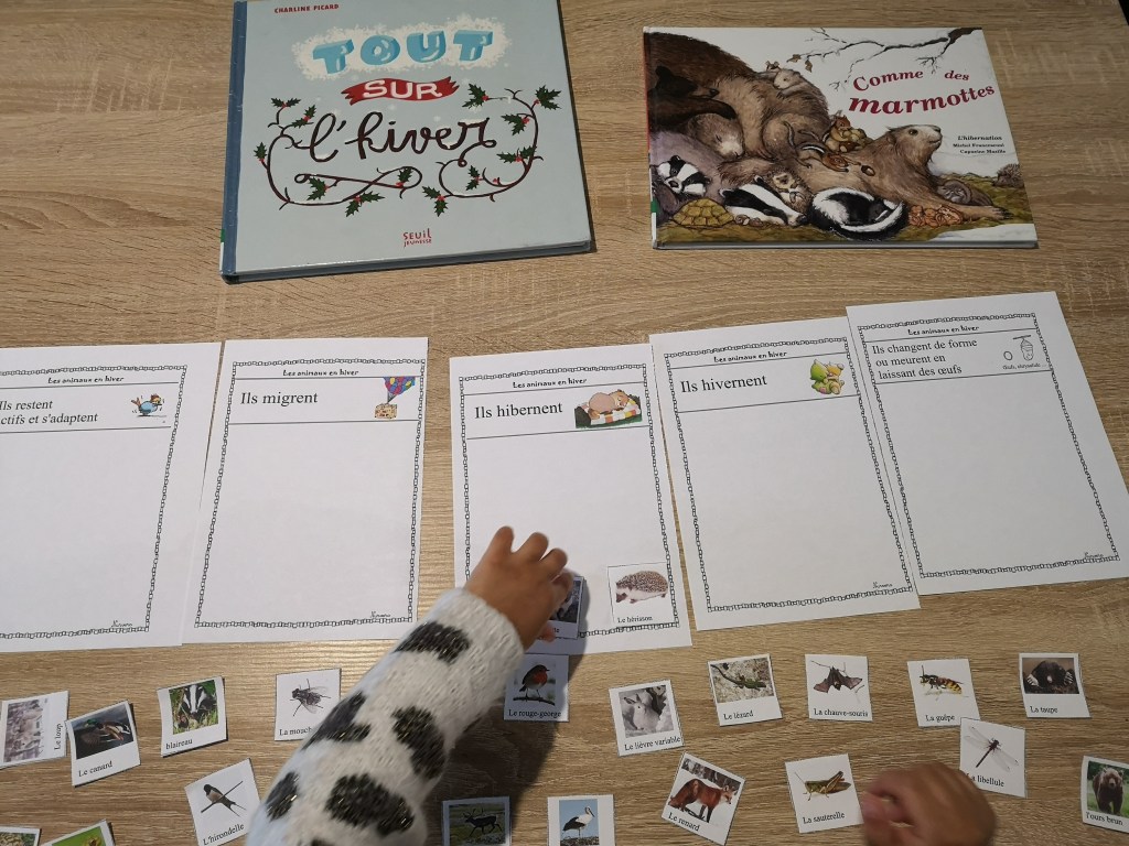 Les animaux en hiver – Ma vie trépidante de maman