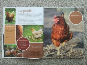 Sélection de livres sur la ferme – Ma vie trépidante de maman