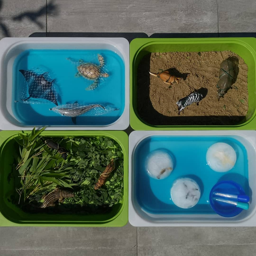 Récapitulatif des activités sur les animaux – Ma vie trépidante de maman