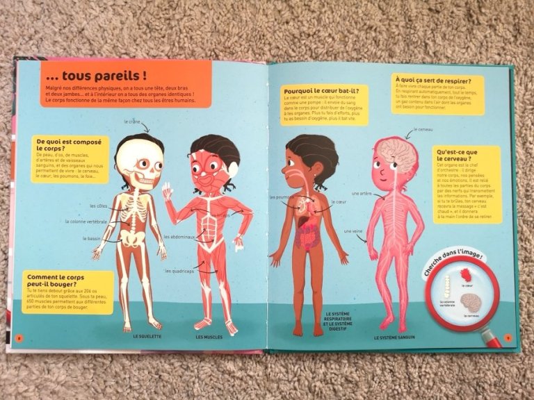 Sélection de livres sur le corps humain – Ma vie trépidante de maman