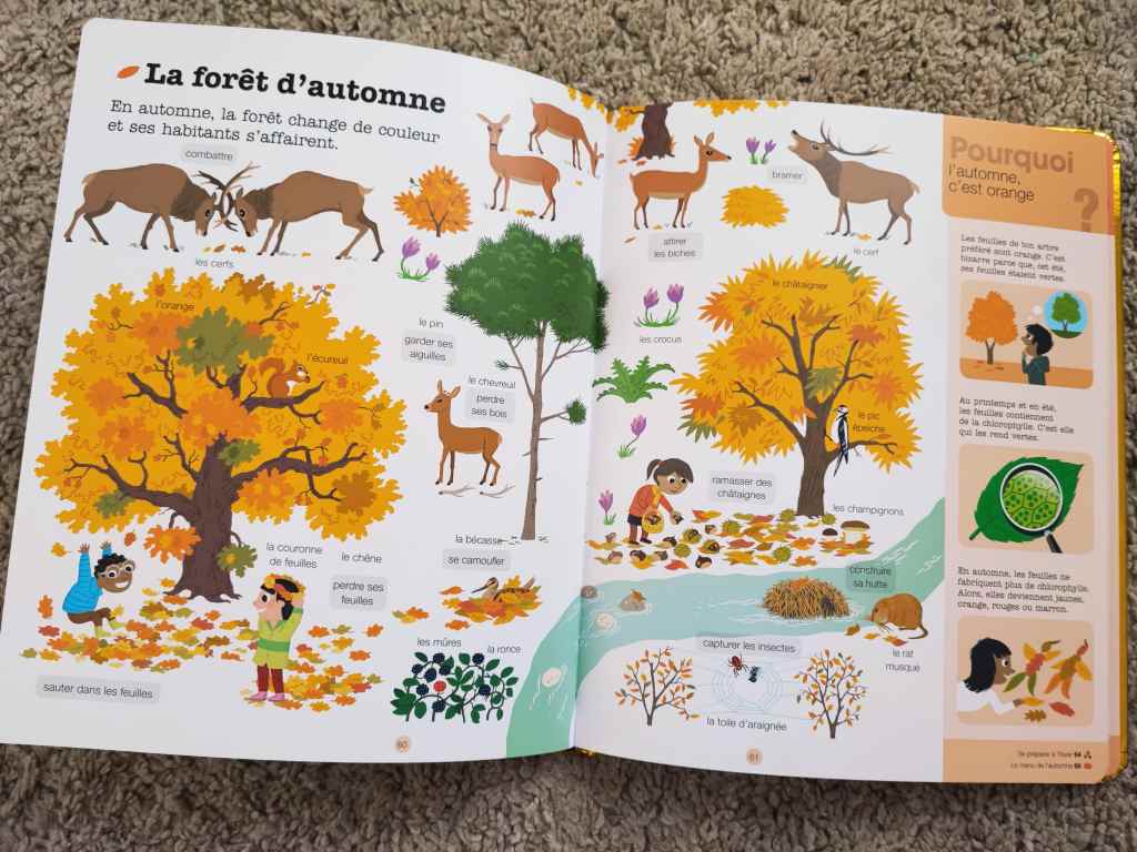 Sélection de livres sur les saisons – Ma vie trépidante de maman