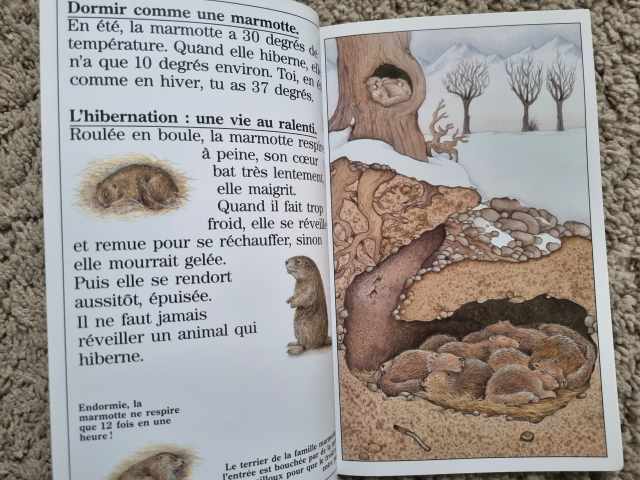 Sélection de livres Hiver/Banquise – Ma vie trépidante de maman