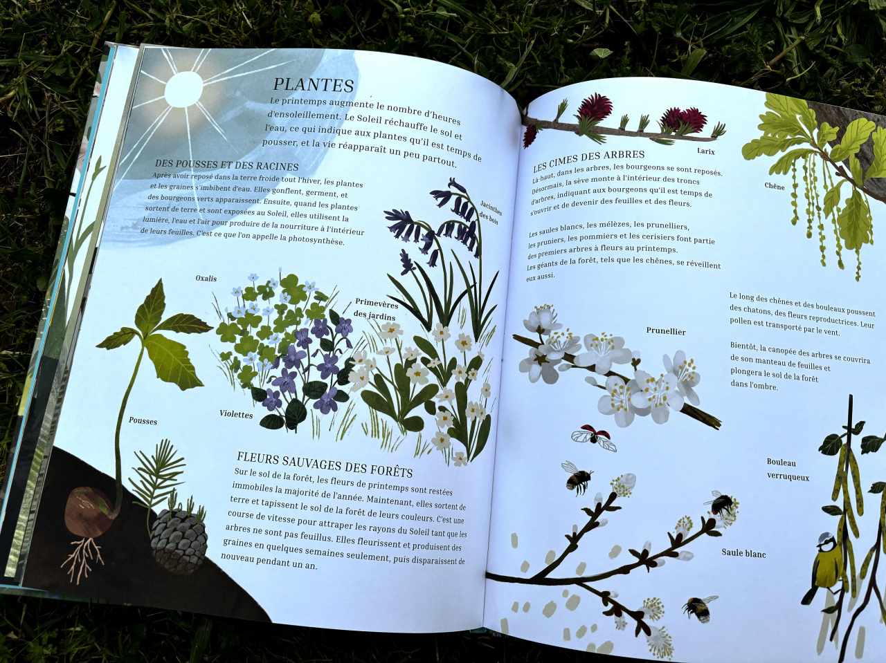 Sélection de livres de printemps – Ma vie trépidante de maman